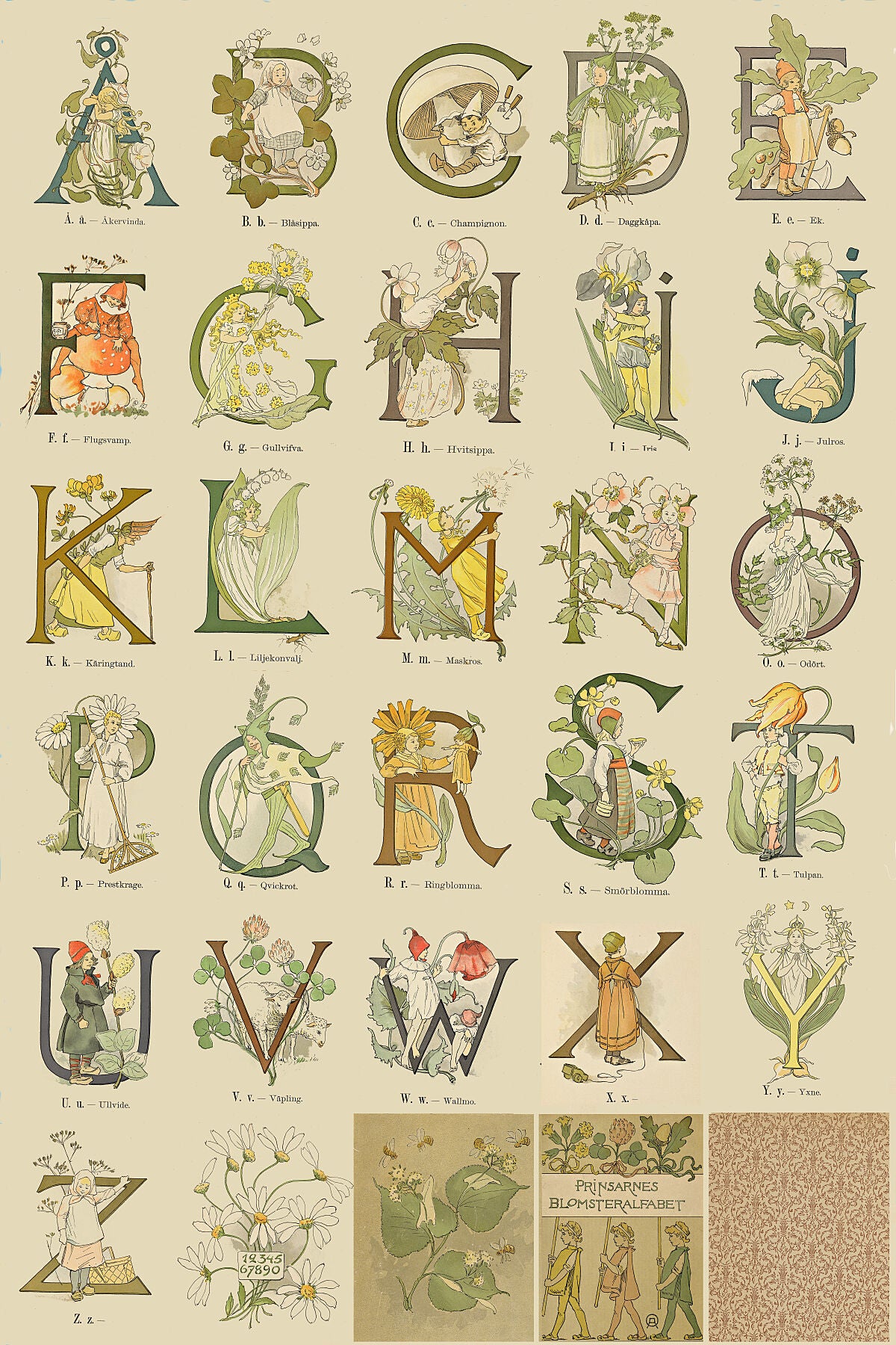 Prinsarnes Blomsteralfabet (The Princes Flower Alphabet) by Ottilia Ad ...